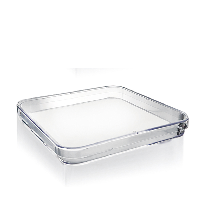 Plastic Petri Dish - Buy petridish, divided petri dish, petri dish ...